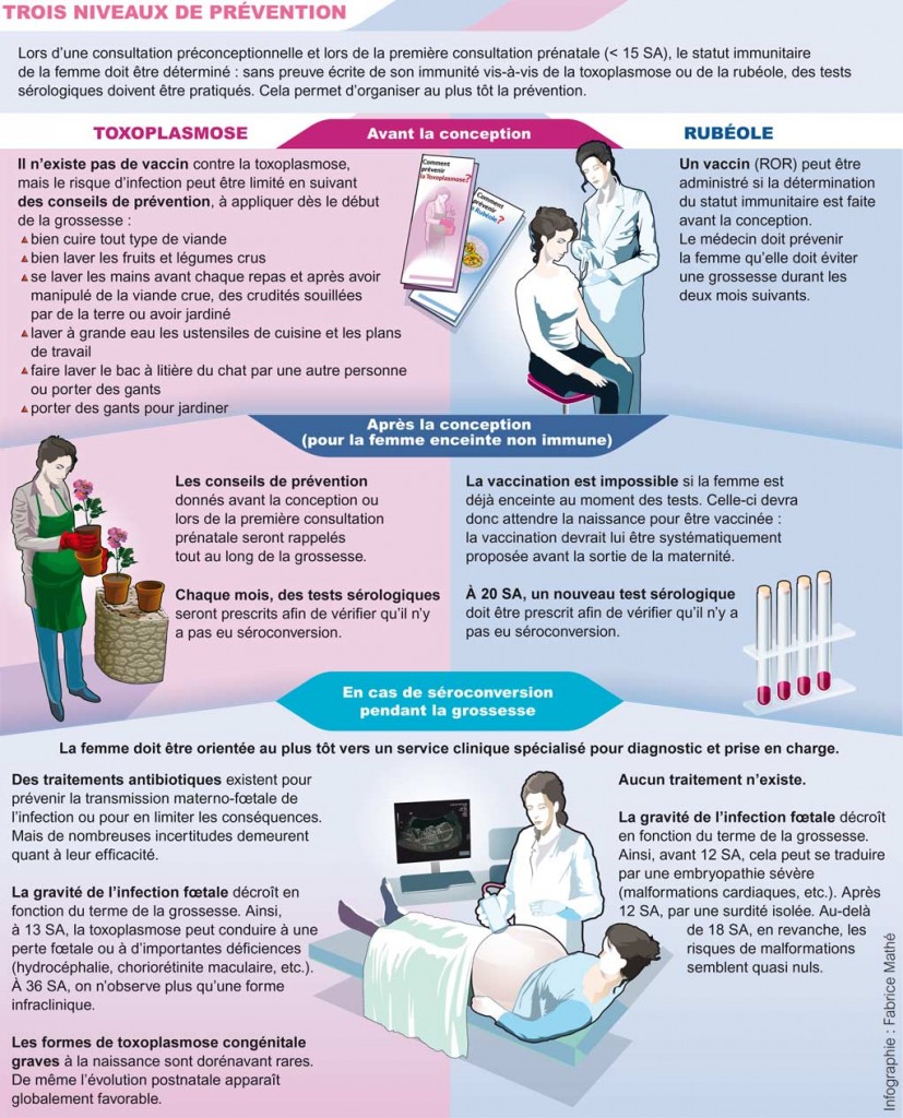 Rubéole et grossesse - Réseau de Périnatalité de Normandie